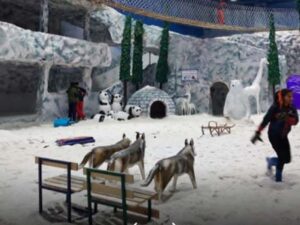 Snow City Indore - Best Snow Park and Indoor Family Amusement Area
